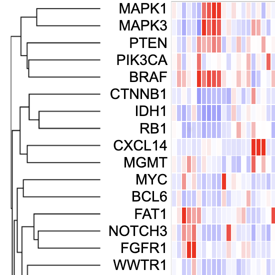 Hierarchial clustering of genes and samples