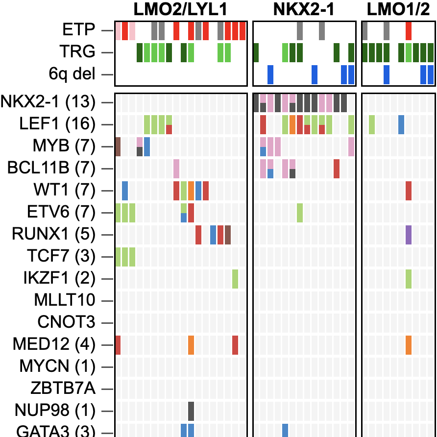 Mutation heatmap